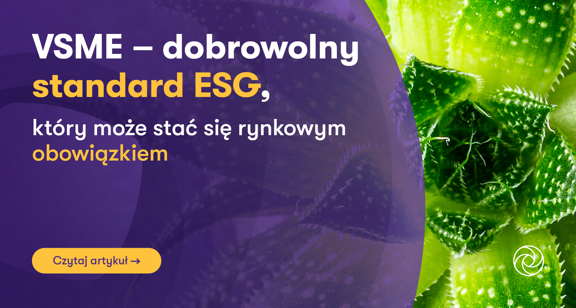 VSME – dobrowolny standard ESG, który może stać się rynkowym ...